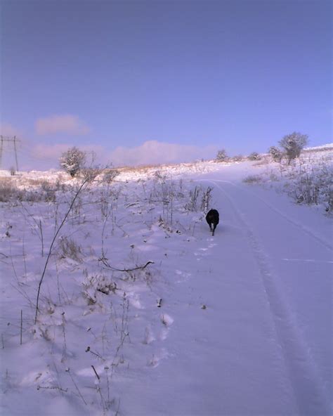 C Php Vb Net Исторически път към Петрохан