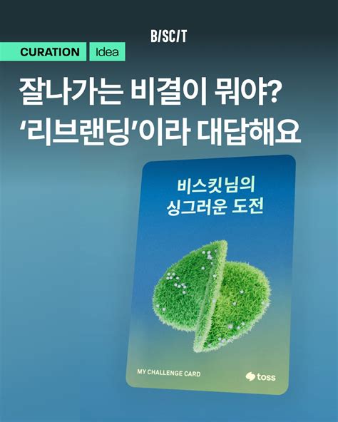 비스킷 마케팅・브랜딩・크리에이티브 Ai 인플루언서가 선사하는 새로운 마케팅의 세계👽 가상 인플루언서 즐루는 도심을