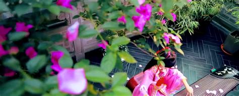 I cry like Yuko Oshima Mandopop Wang Qiao 王巧