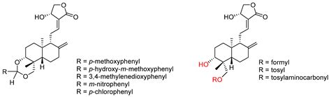 Synthetic Modifications Of Andrographolide Targeting New Potential Anticancer Drug Candidates A