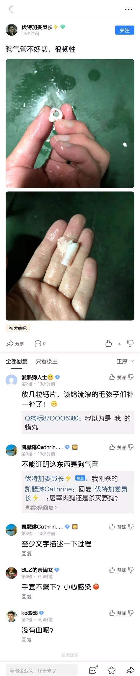 强烈请求开除！研究生被指肢解虐杀流浪狗，校方回应：正接受公安机关调查凤凰网
