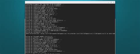 How To Install Linux Apps On Chrome Os