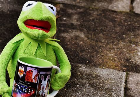 Pictures Of Kermit The Frog Drinking Tea