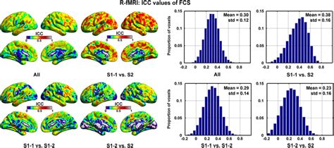 The Brain Figures Were Visualized Using The Brainnet Viewer Download Scientific Diagram