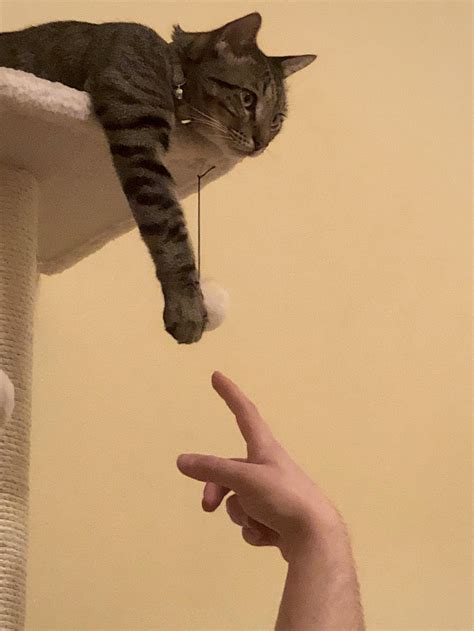 My Boyfriend Woke Me Up And Made Me Take This Photo R Aww