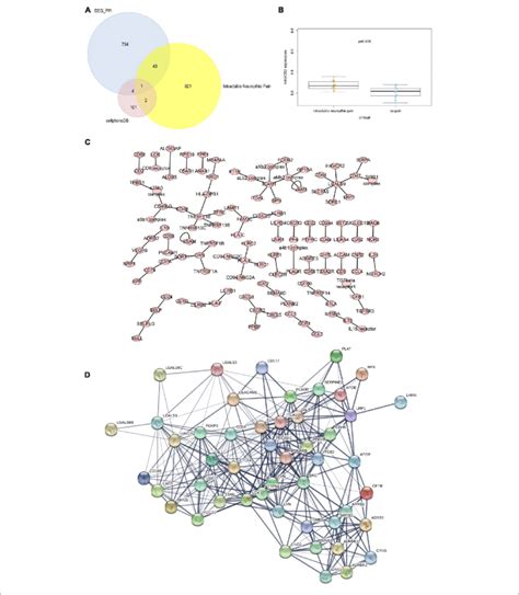 The Results Of The Cellphonedb Analysis And The Venn Plot