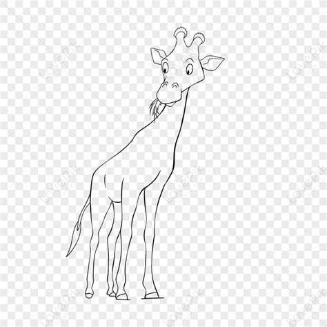 흑백 일러스트 기린 먹는 풀 선화고층 건물만화 Png 일러스트 무료 다운로드 Lovepik