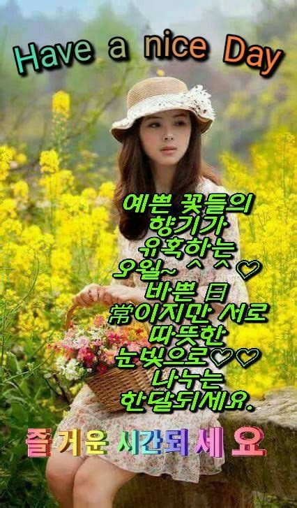 웃긴 밈에 있는 핀 웃긴 밈 웃긴 사랑