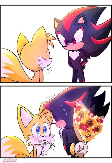 Shadails Ship Between Shadow And Tails Complete Sontails Aka Sonails Wiki