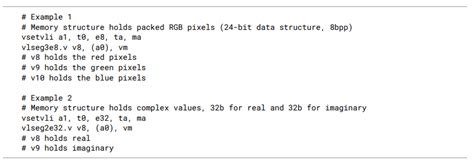 Risc V V Vector Extension Version