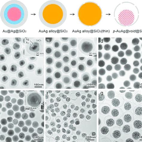Pdf Porous Au Ag Nanospheres With High Density And Highly Accessible Hotspots For Sers Analysis