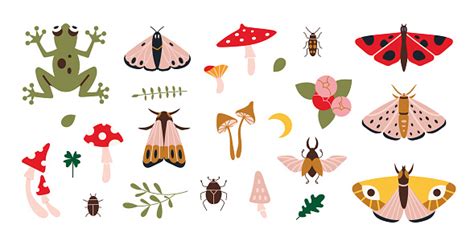 숲 아이템 세트 나비 버섯 식물 만화 스타일 코티지 코어 고블린 코어 미학 트렌디 한 현대 벡터 일러스트 레이 션 손으로 그린 나방에 대한 스톡 벡터 아트 및 기타 이미지