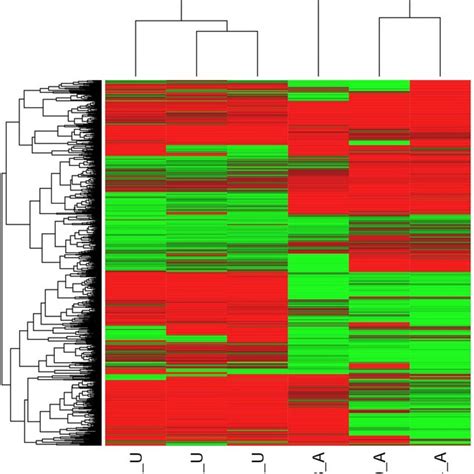 Top 10 De Genes Annotated As Uncharacterized Protein In Ws Affected Download Scientific Diagram