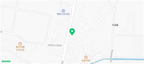 용인 랩핑 스팅어 카멜레온 전체 랩핑 랩401ㅣ처인구랩핑수원랩핑광교랩핑동탄랩핑동백랩핑판교랩핑광주랩핑분당랩핑 네이버 블로그