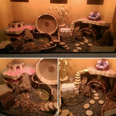 Hamster Cage Theme Ideas At Maryann Diggs Blog