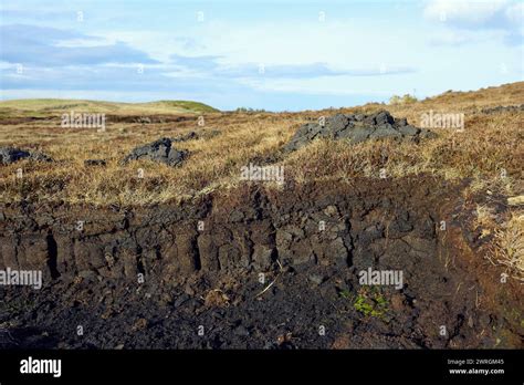 Views Of The Peat Bogs In The Scottish Highlands Freshly Cut Peat From