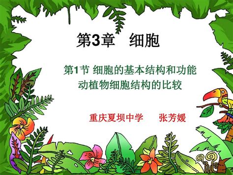 动植物细胞的比较 文档之家