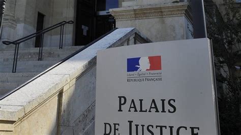 Acte De Cruauté Envers Un Chat Deux Mois Avec Sursis Petitbleufr