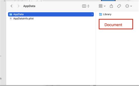 Xcode16 Ios Missing Document File In The Xcappdata File Stack Overflow