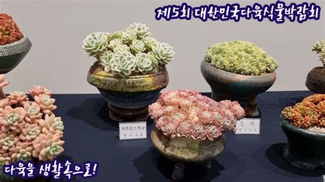 제5회 대한민국다육식물박람회 여기는 청주예술의전당입니다 평범한 국민다육을 작품으로 만나요 Youtube