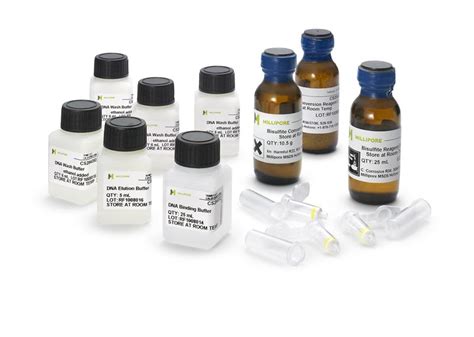 Bisulfite Conversion Kit Emd Millipore