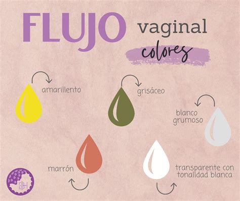 Mi Flujo Vaginal Es Normal DivulgaciÓn CientÍfica Ug 47 Off