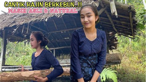 Ketemu Gadis Baduy Cantik Alami Rajin Kekebun Setiap Hari Bersama Orang Tua Youtube