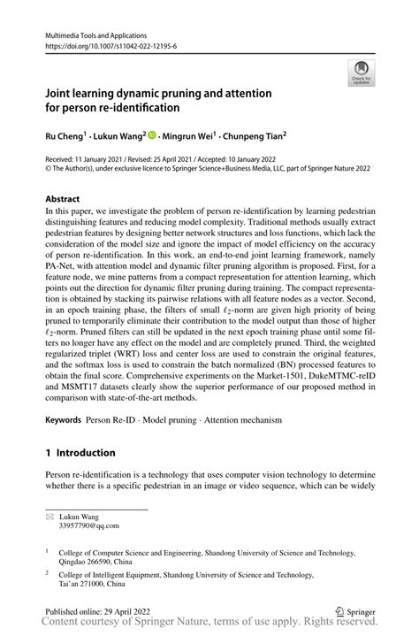 Joint Learning Dynamic Pruning And Attention For Person Re Identification