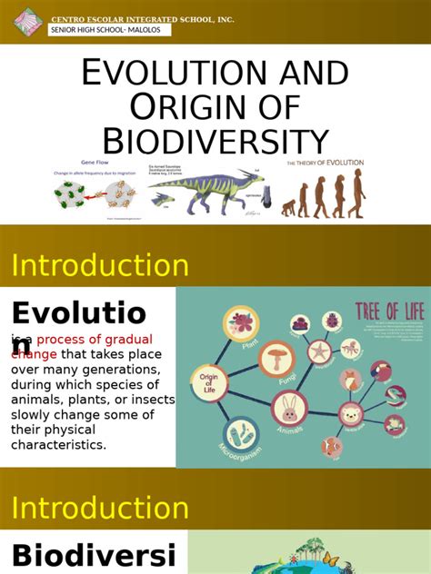 Evolution And Origin Of Biodiversity Pdf