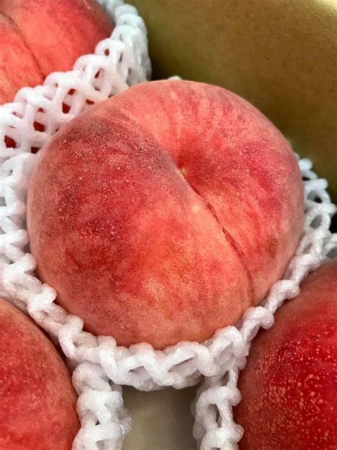 水果市集 日本長野信州水蜜桃🍑 等級：特秀 品種：白鳳桃 原裝箱：五公斤裝 1箱：5公斤 15顆裝