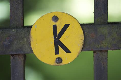 무료 이미지 나무 자연 울타리 목재 잎 번호 기호 녹색 편지 색깔 노랑 정원 갈기 나사 세 볼트 녹슨 에 대한 모양 그라 케이