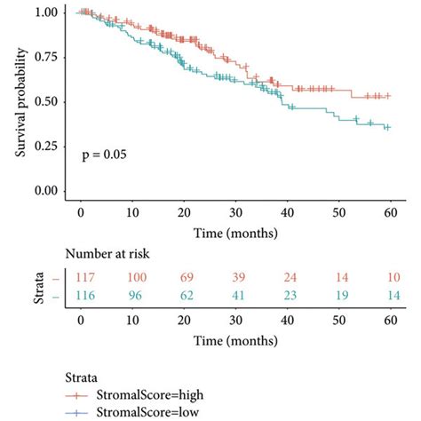 Kaplan Meier Survival Curves To Show Differences In The 5 Year Survival