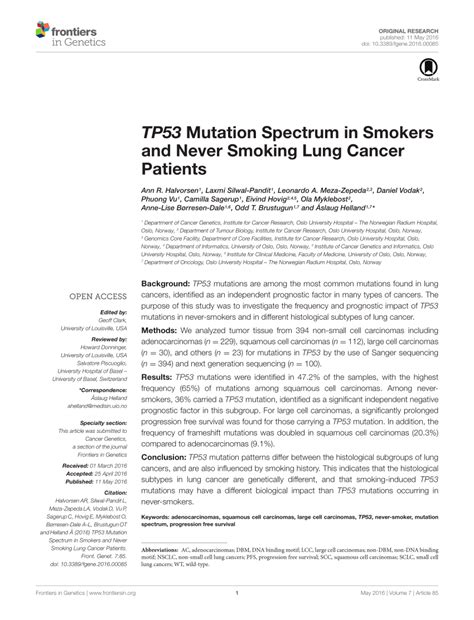 Pdf Tp53 Mutation Spectrum In Smokers And Never Smoking Lung Cancer