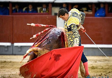 Daniel Luque Otros Días Cortaré Orejas Pero Hoy He Vivido Cosas