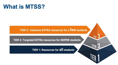 What Is A Mtss Meeting At Patrick Moreland Blog