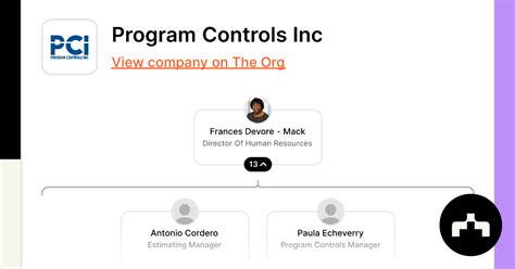 Program Controls Inc The Org