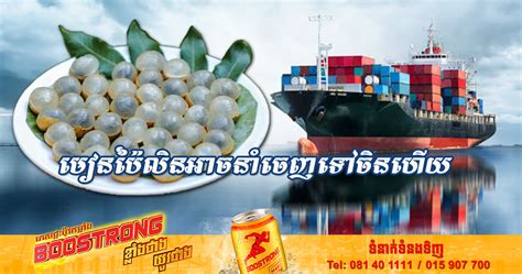 ច្បាស់ការ មៀនប៉ៃលិន ឬតាង៉ែន