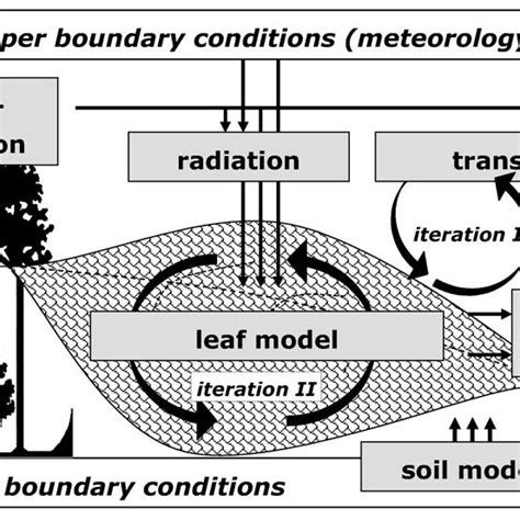 Calculation Of The Surface Energy Balance In Three Canopy Download