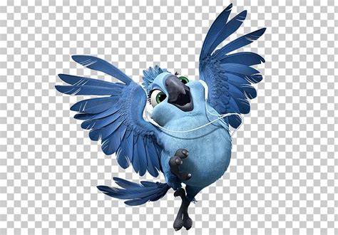 Blu Rio Film Animation Png Clipart Animation Beak Bird Blu Cartoon Free Png Download