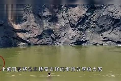 神秘山洞常年吐鱼村民很开心专家一看这鱼吃不得 村民 山洞 开心