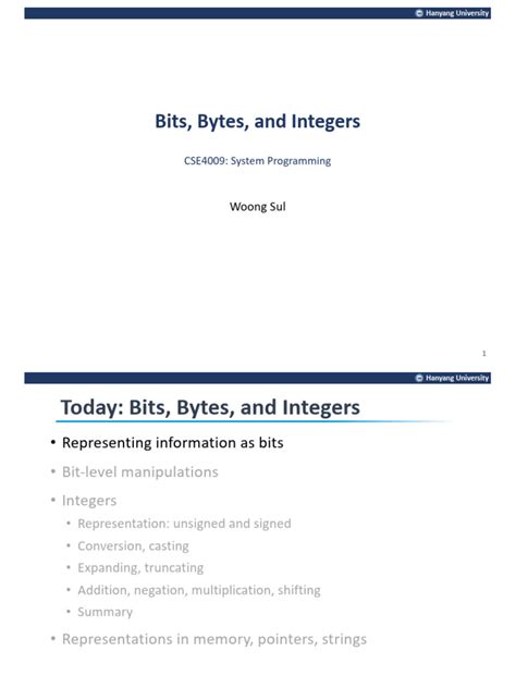 02 03 bits ints pdf