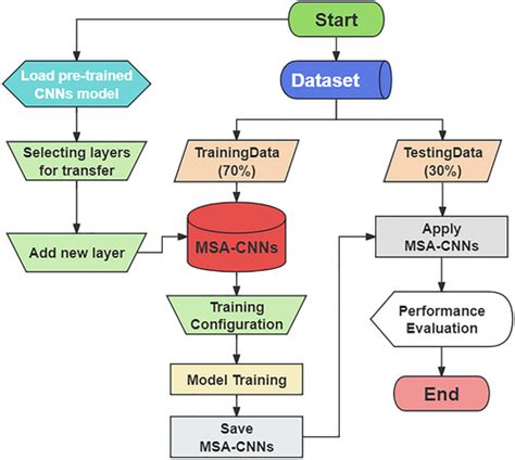 Precision Recognition Of Rock Thin Section Images With Multi‐head Self‐attention Convolutional