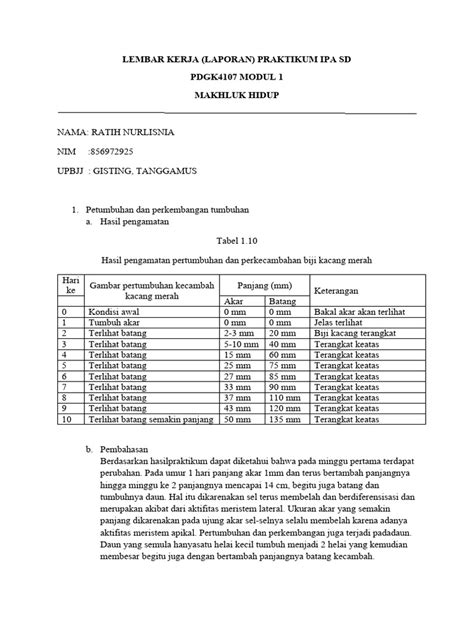 Perkecambahan Biji Kacang Pdf