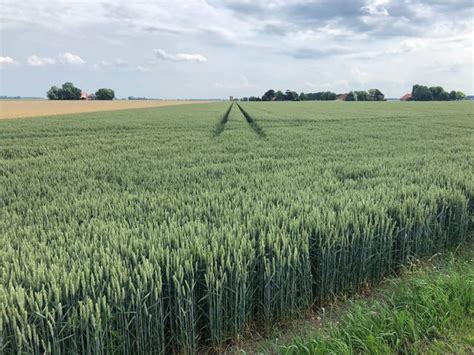 Enne Jans Heerd Visit Groningen