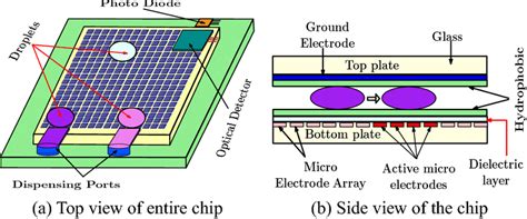 Architecture Of Meda Based Biochips Download Scientific Diagram