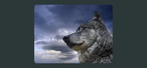 Lucas Menegatti On Linkedin Reactjs