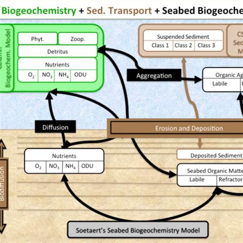 Schematic Of Links Between The Seabed Biogeochemical Module And Other Download Scientific