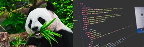 3 Advanced Pandas Methods For Data Scientists By Kaushik Choudhury