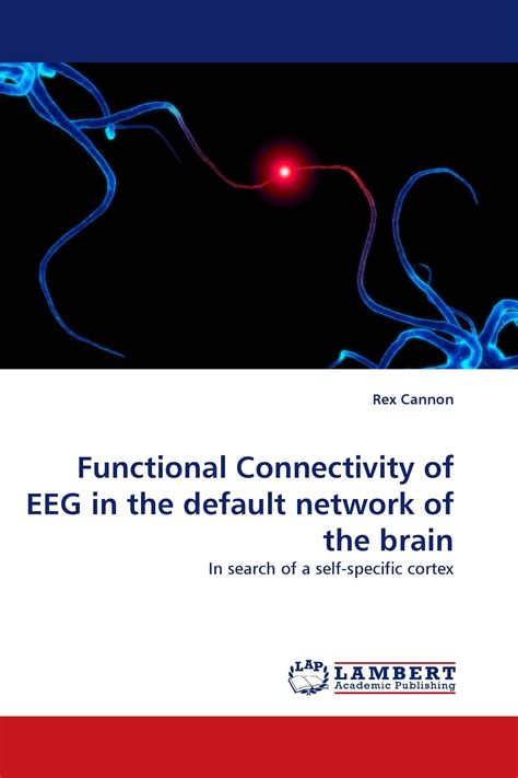 Functional Connectivity Of Eeg In The Default Network Of The Brain