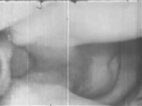 Try Anything Once Hotoldmovies Adult Dvd Empire